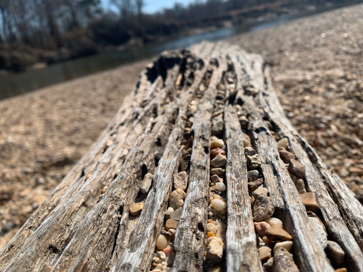 Bogue Chitto State Park | Earthly Tumbles