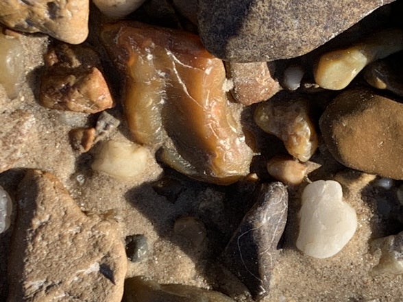 Rock Tumbling Tutorial | Earthly Tumbles