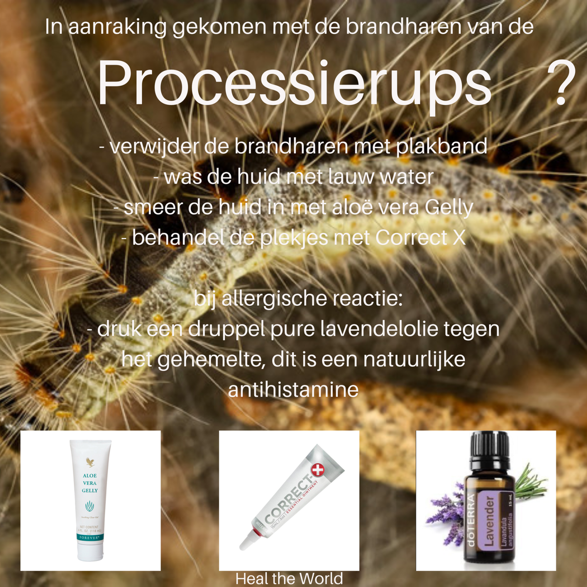 Processierups / Klachten en aandoeningen | Heal the World