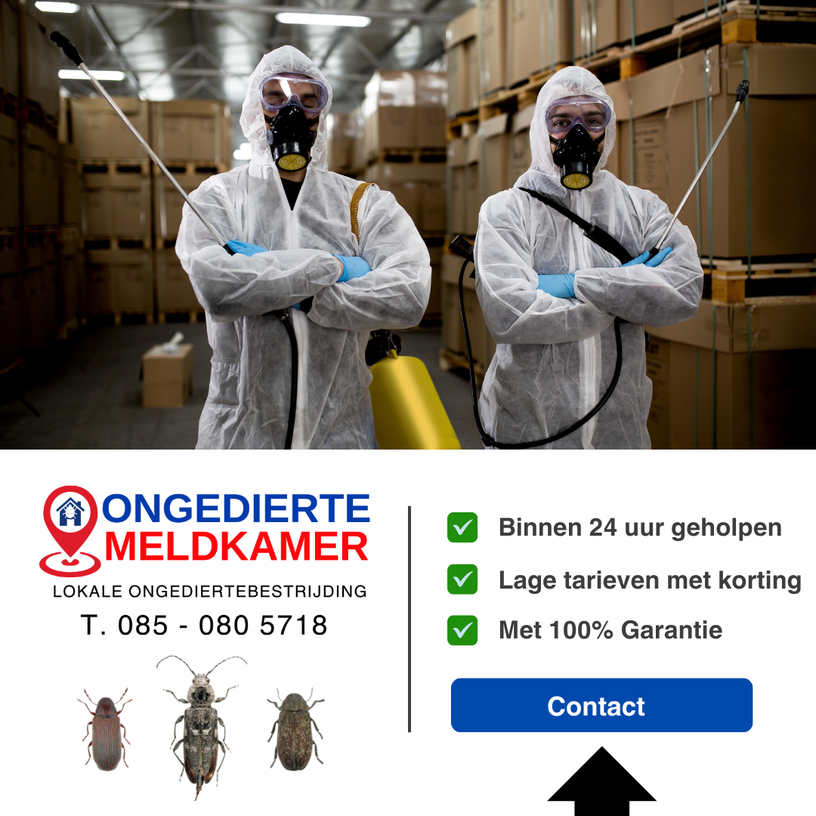 Boktor Bestrijden - 10 jaar garantie