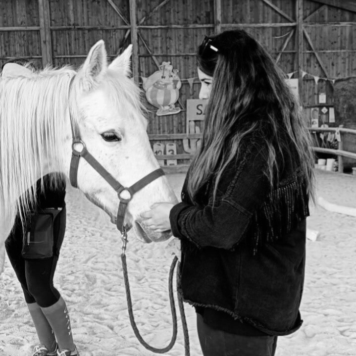 Contact | Equi'Ludik