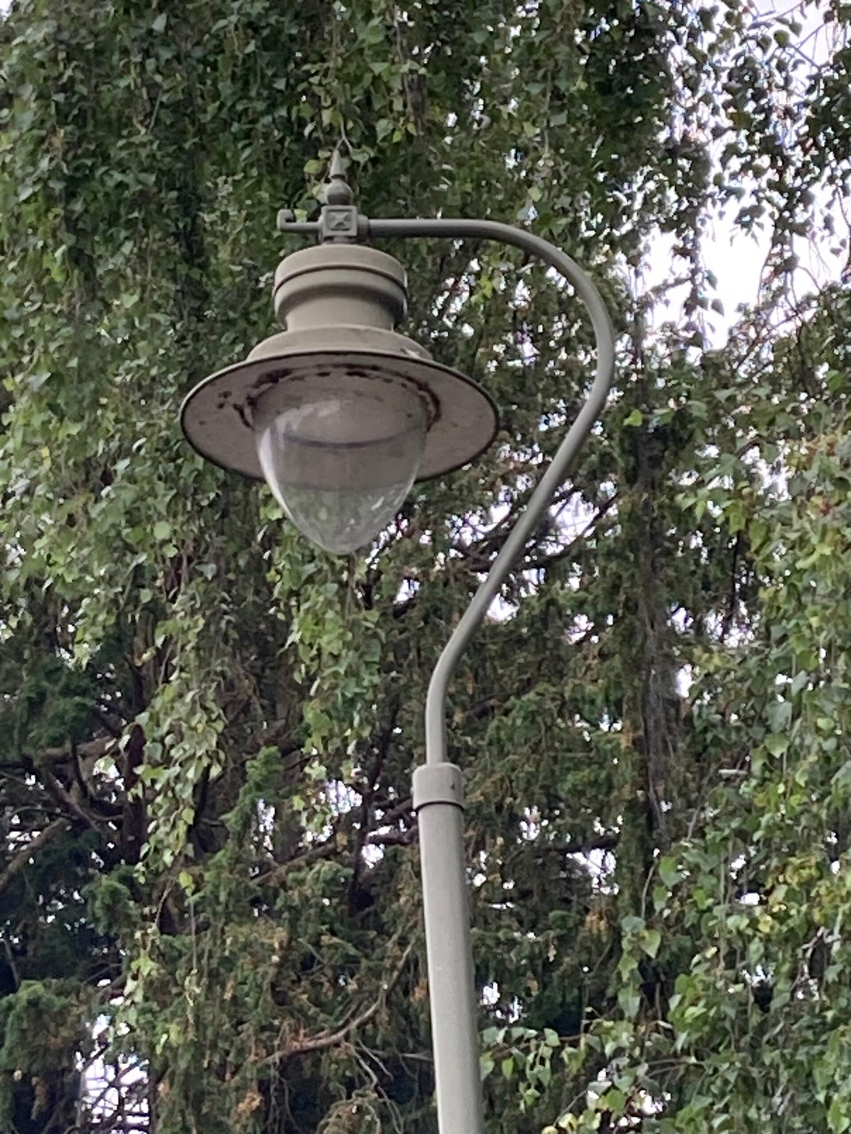 DW windsor strand | Streetlightsandlamps