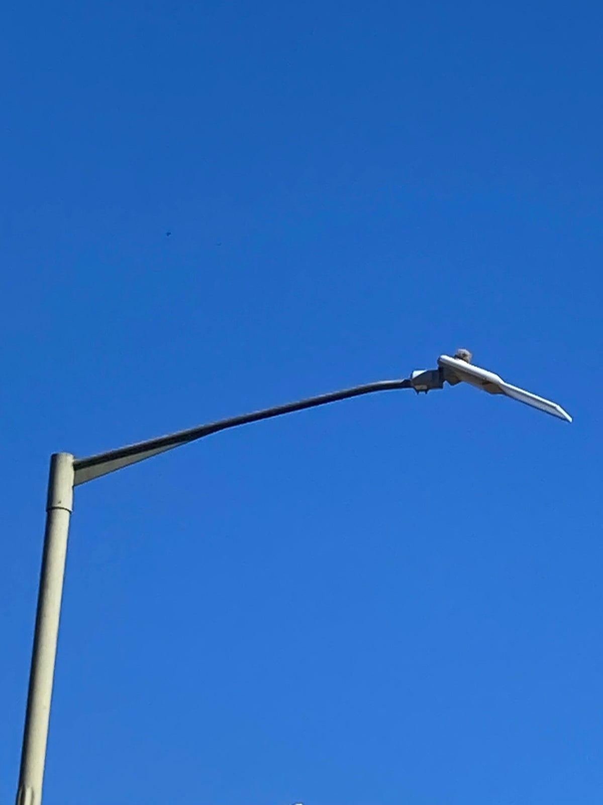 Street lights | Streetlightsandlamps