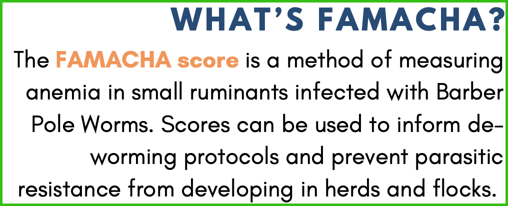 FAMACHA Class | Nigerian Dwarf Goat Club of Florida