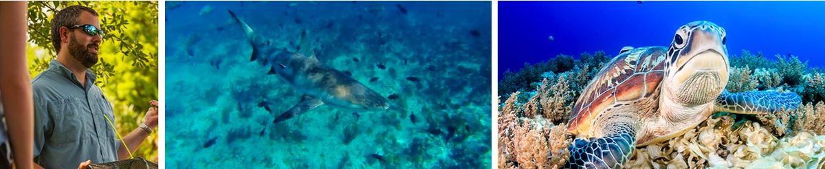 Marine Biology / Majors and Programs | Florida Southern College Biology ...