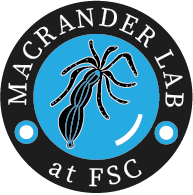 Jason Macrander, Ph.D. / Faculty and Staff | Florida Southern College ...
