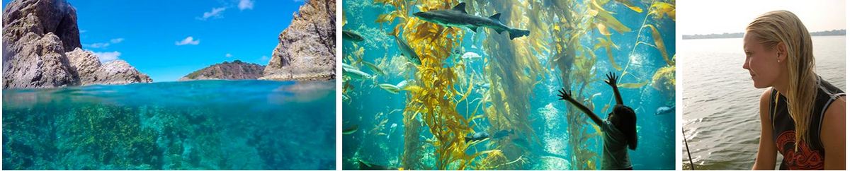 Marine Biology / Majors and Programs | Florida Southern College Biology ...