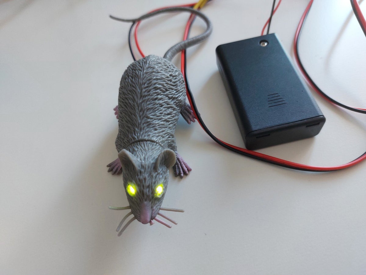 Mitmach‑DIY – Maus/Ratte mit grünen Augen / Halloween DIY – Mitmach ...