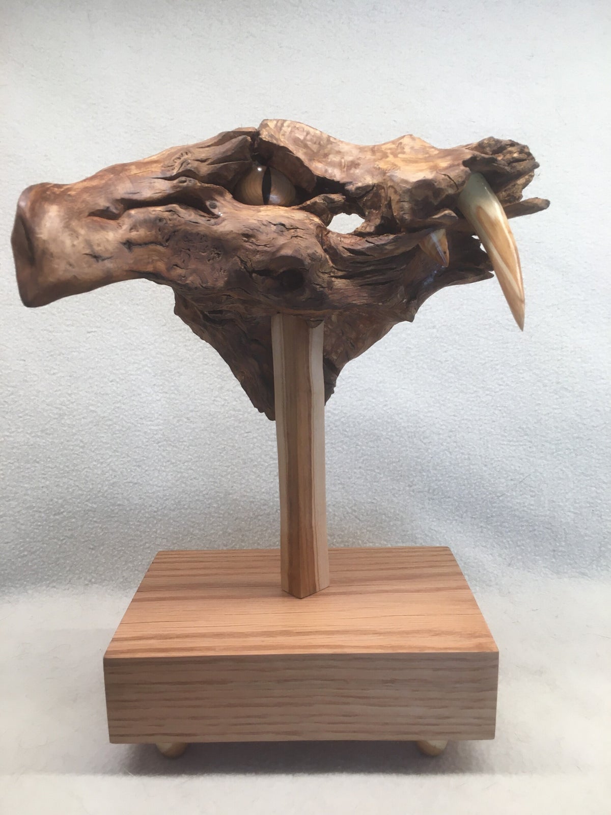 Sabeltand tijger | Hartvoorhout