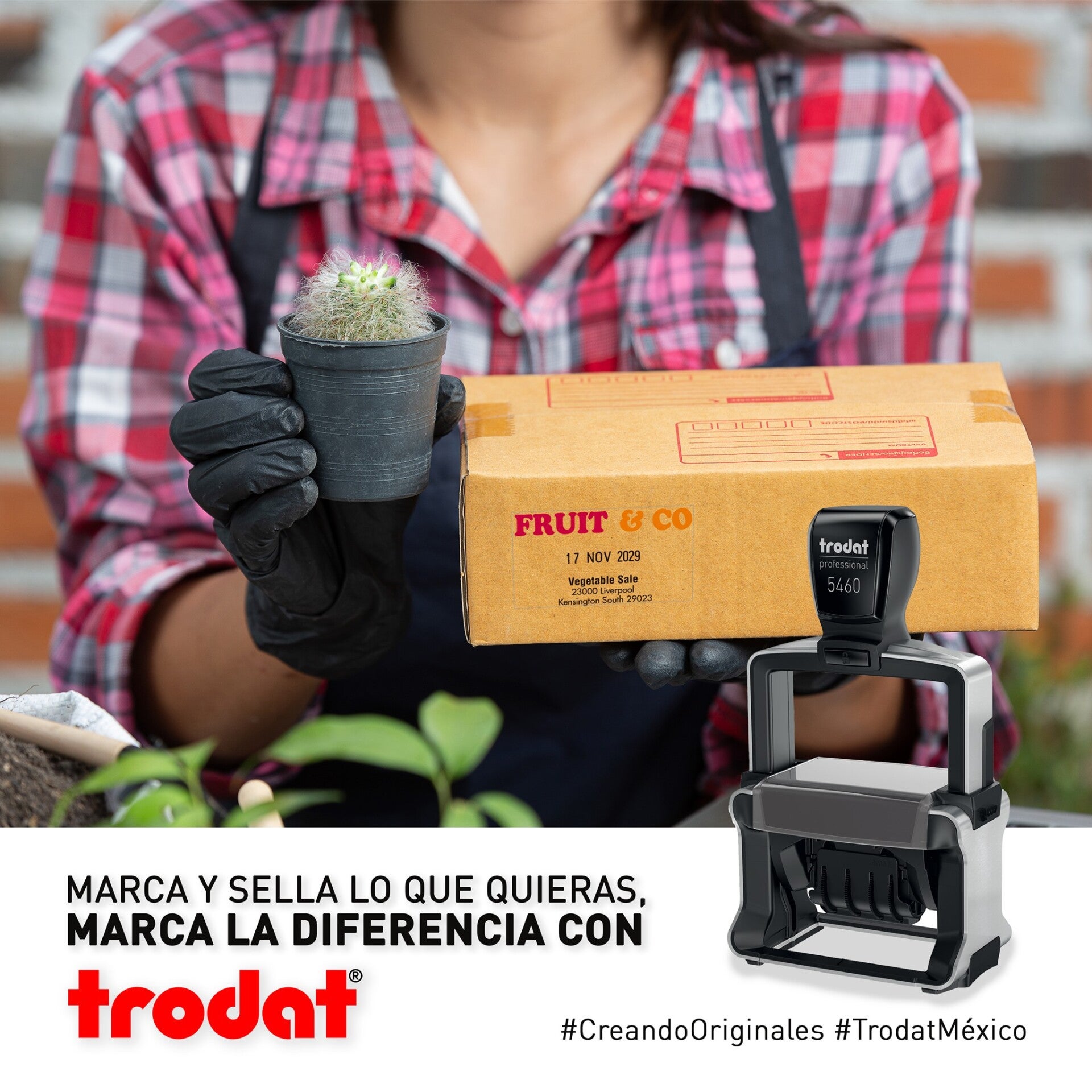 SELLOS DE GOMA / NUESTROS SERVICIOS | Imprenta en Tijuana Imprex Digital