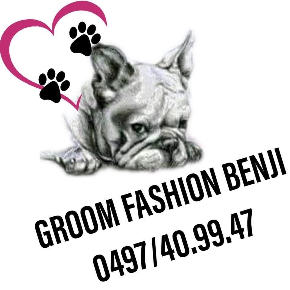 Groom Fashion Benji