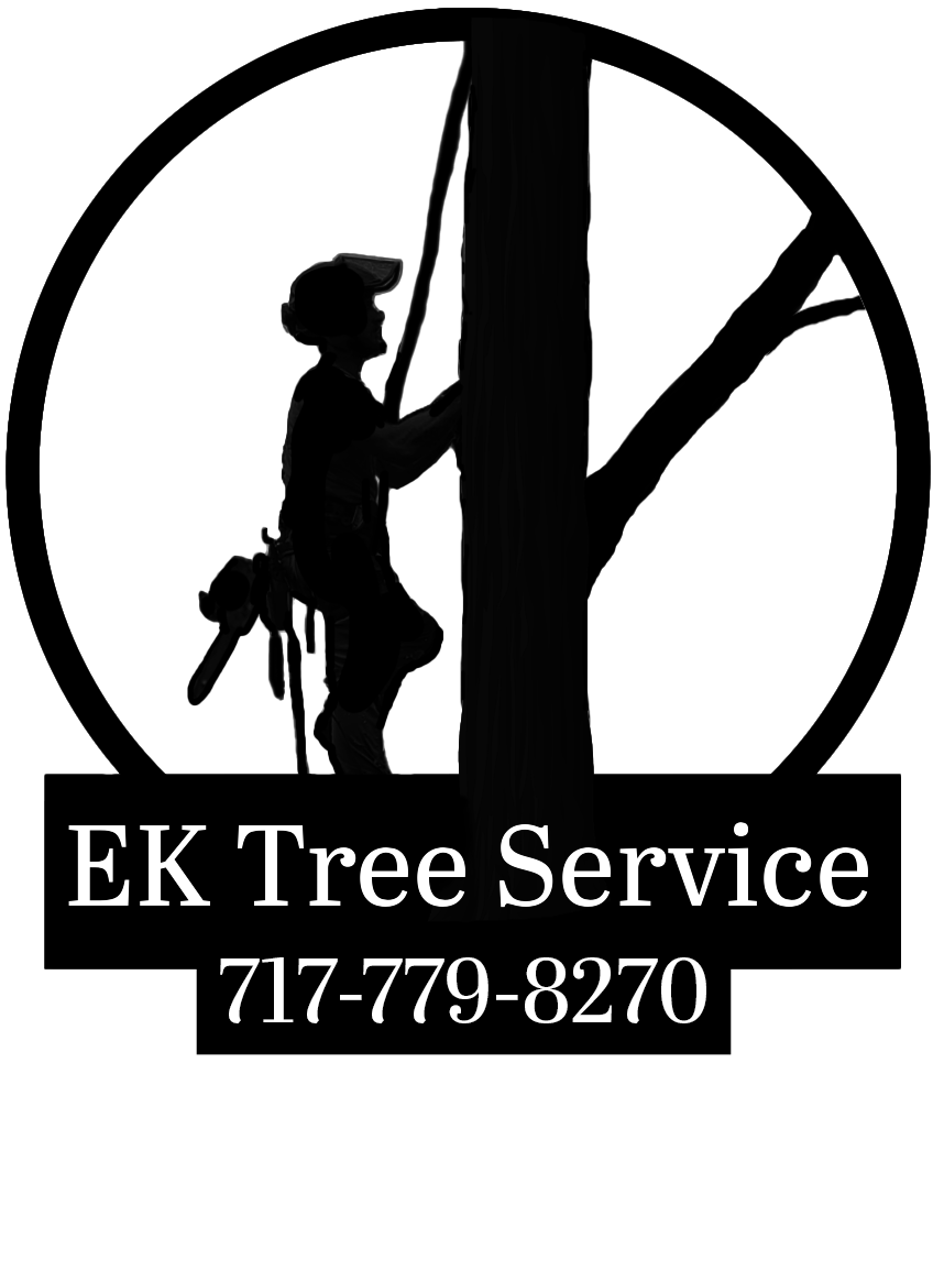 EK Tree Service