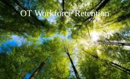 Occupational Therapy workforce retention / Blog | so OT
