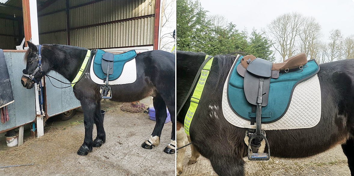 Posh Pony Equestrian