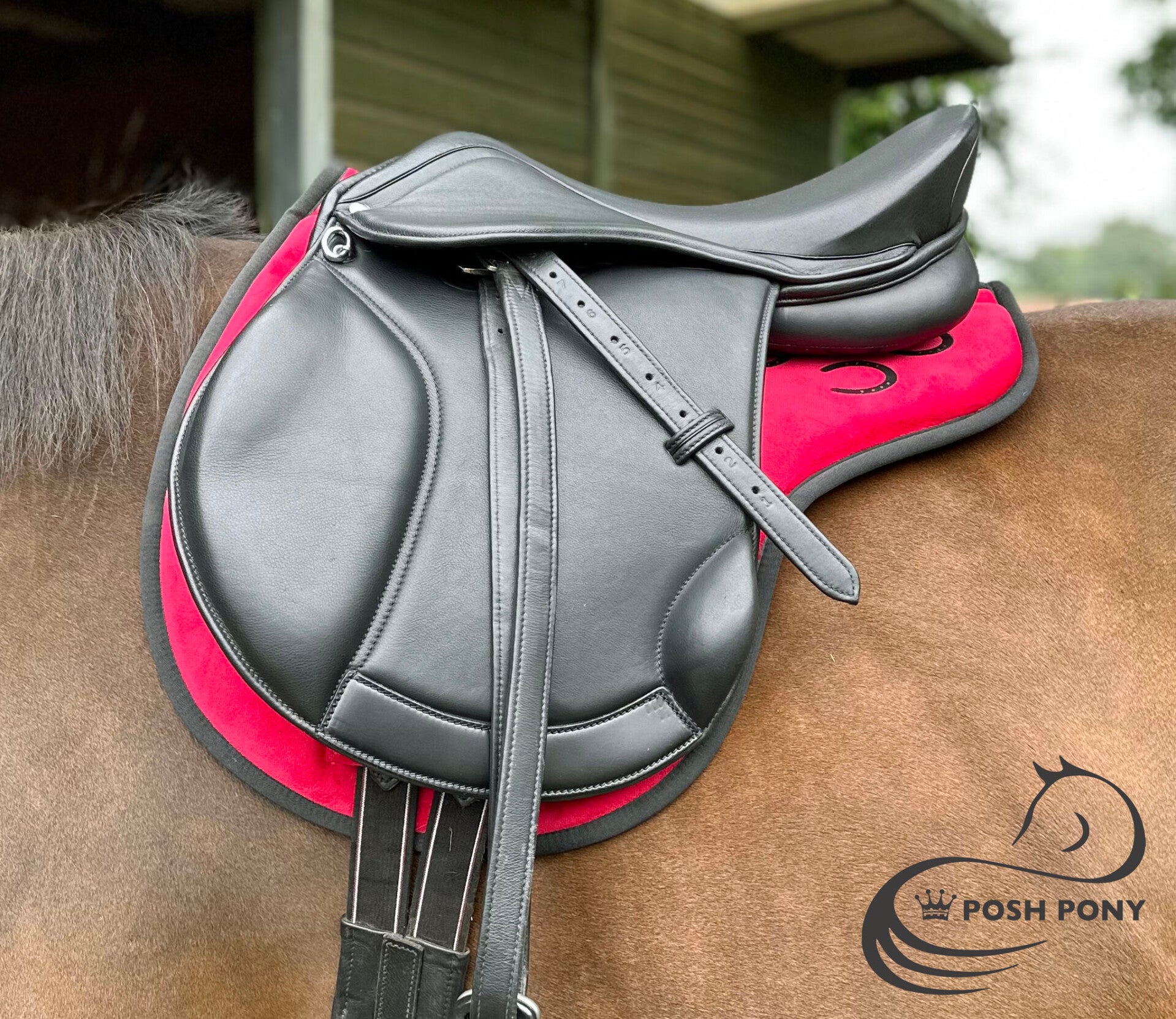 Posh Pony Equestrian