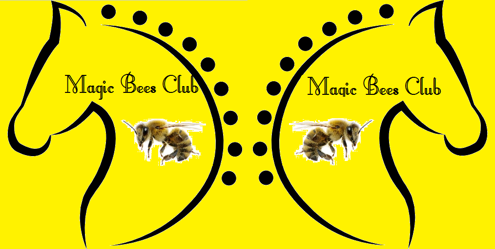 Magic Bees Club