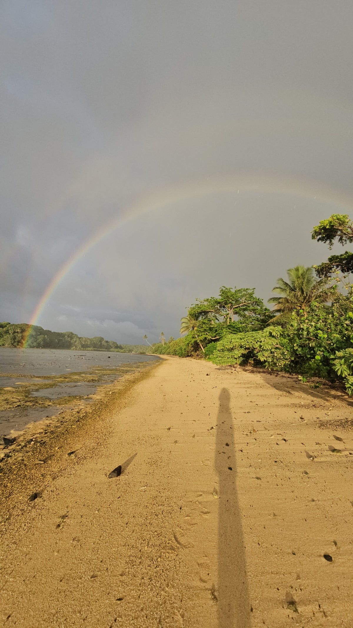Fiji Vesi House