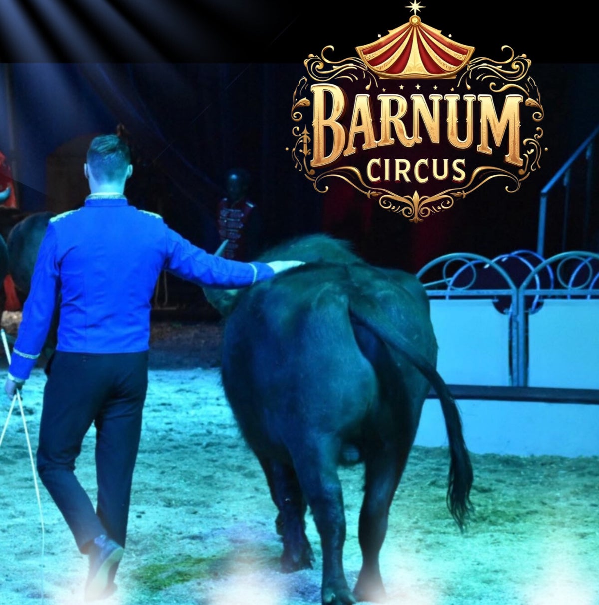 Programm | Circus Barnum