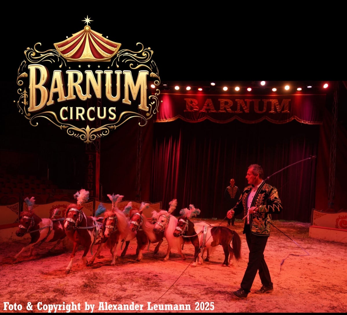 Programm | Circus Barnum
