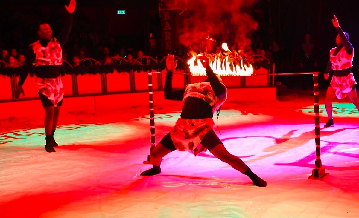 Programm | Circus Barnum