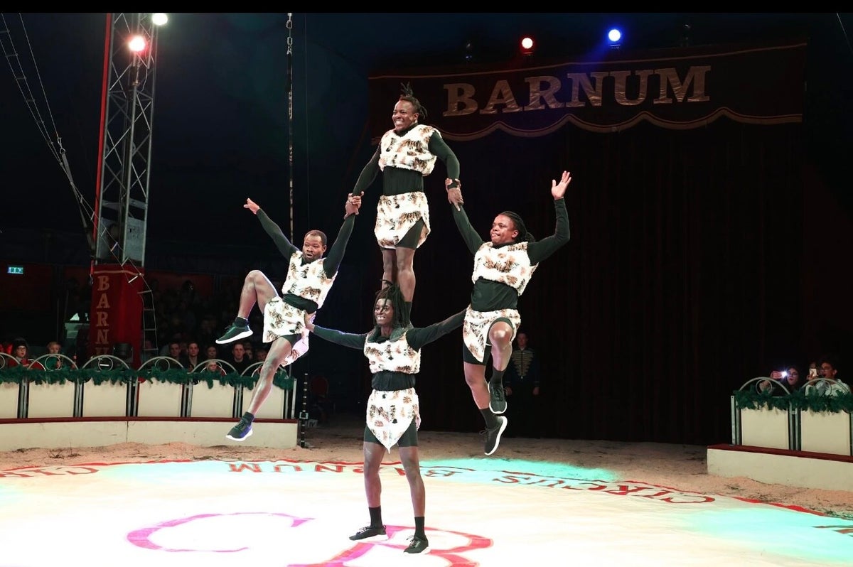 Programm | Circus Barnum
