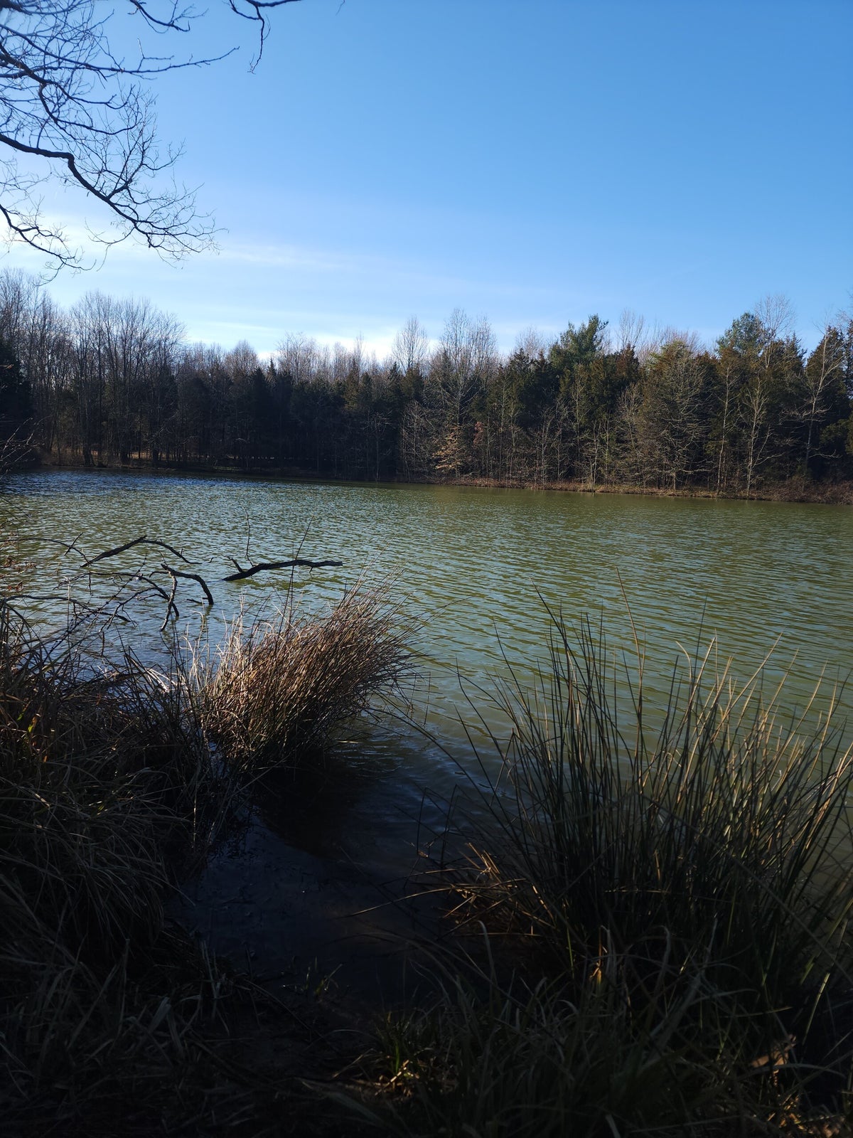 Know Crappie to Catch Crappie / Articles | OutdoorsyDad