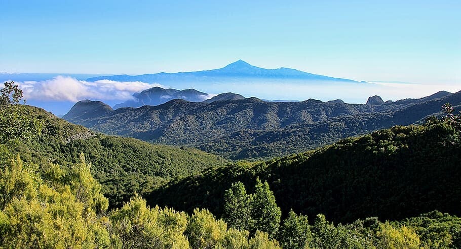 Weetjes, tips en bijzondere informatie over Tenerife bekijken?.