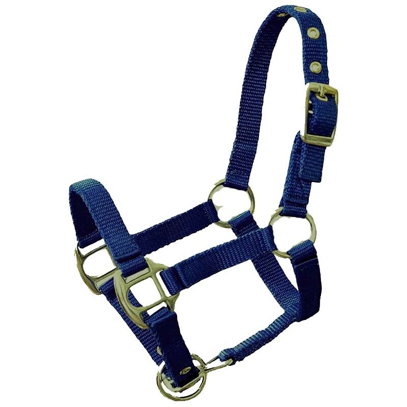 "Miniland" Halfter, 2 oder 3 fach verstellbar / Mini Shetty SPEZIAL ...