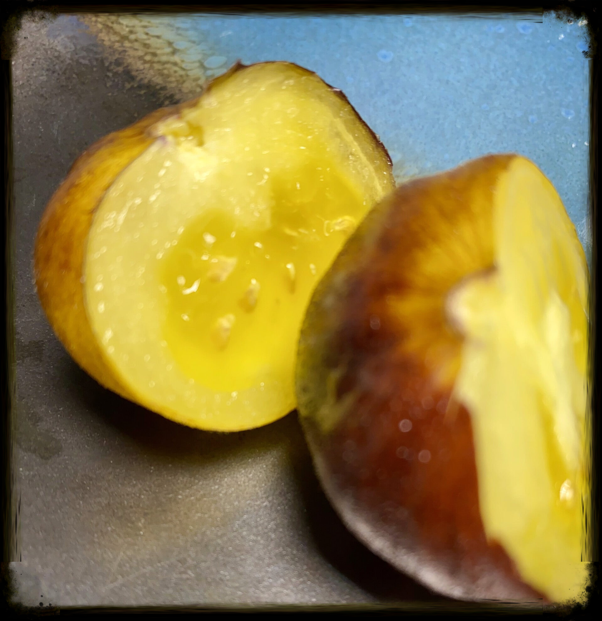 Wooly Kate Yellow Tomatoes and My Consensus In Zone 8B / Blog | Shoot ...