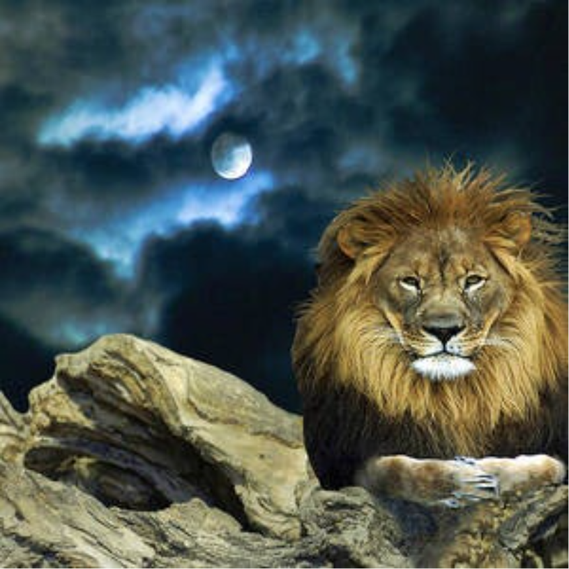 Full Moon & Snow Moon in "dramatic, bold & brash" Leo (13 degrees ...
