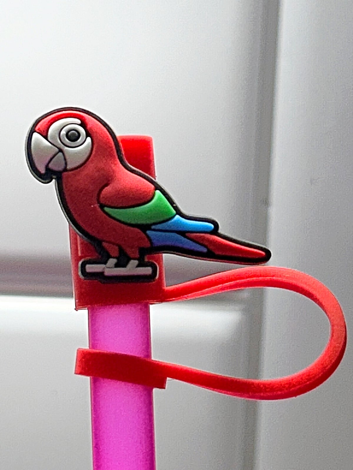 Parrot Straw Toppers | MC² Exotics
