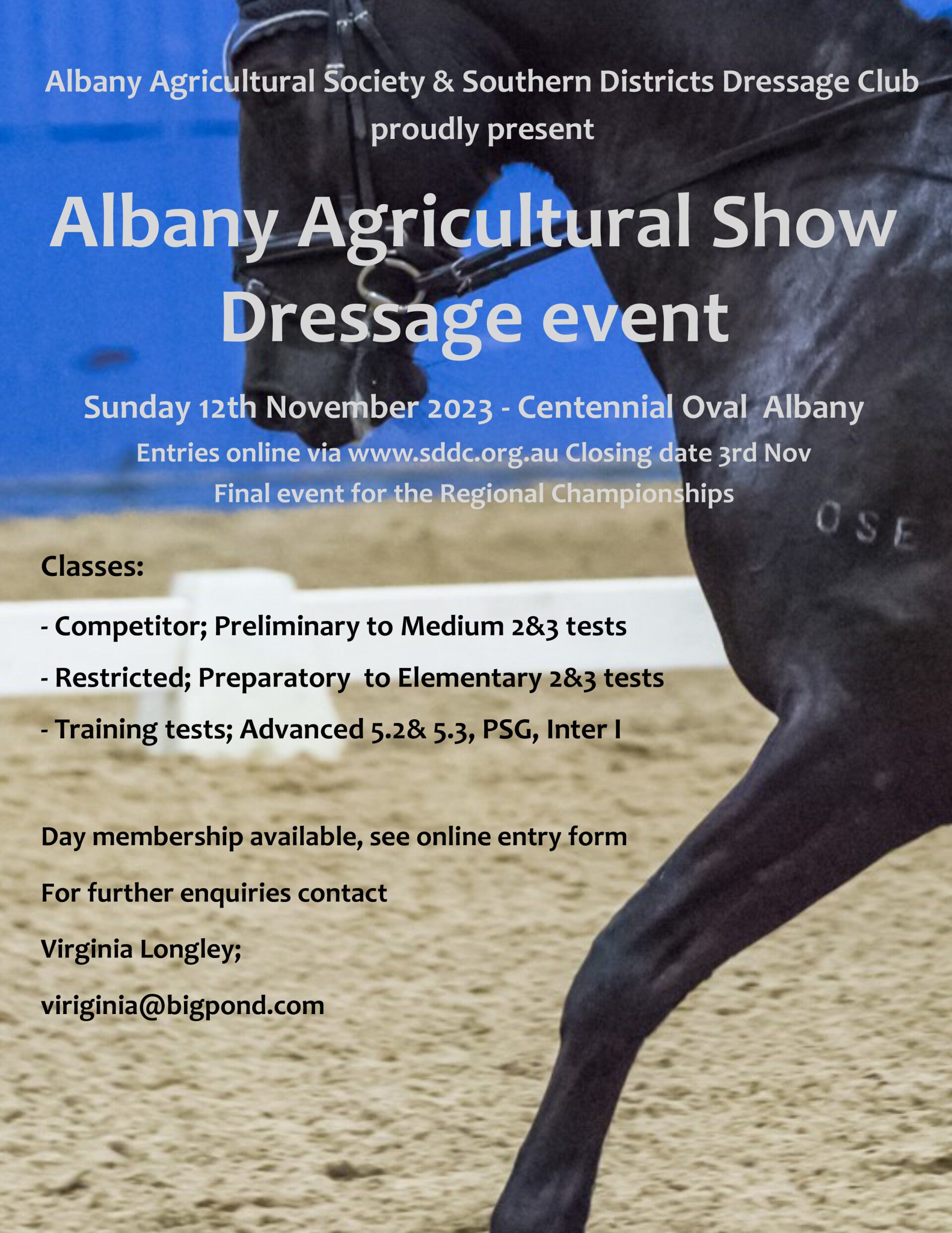 Albany Show Dressage / Competitions | Southern Districts Dressage Club