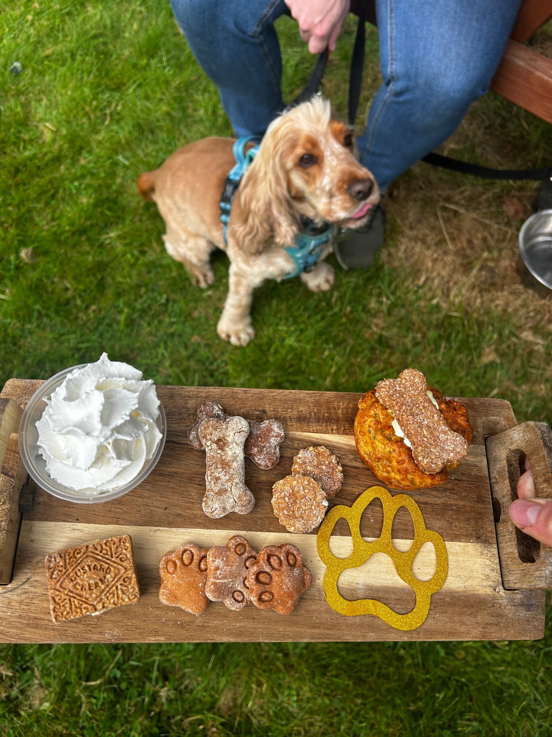 The Doggie Afternoon Tea Merrymeade Tea Room The Doggie Afternoon Tea Merrymeade Tea Room