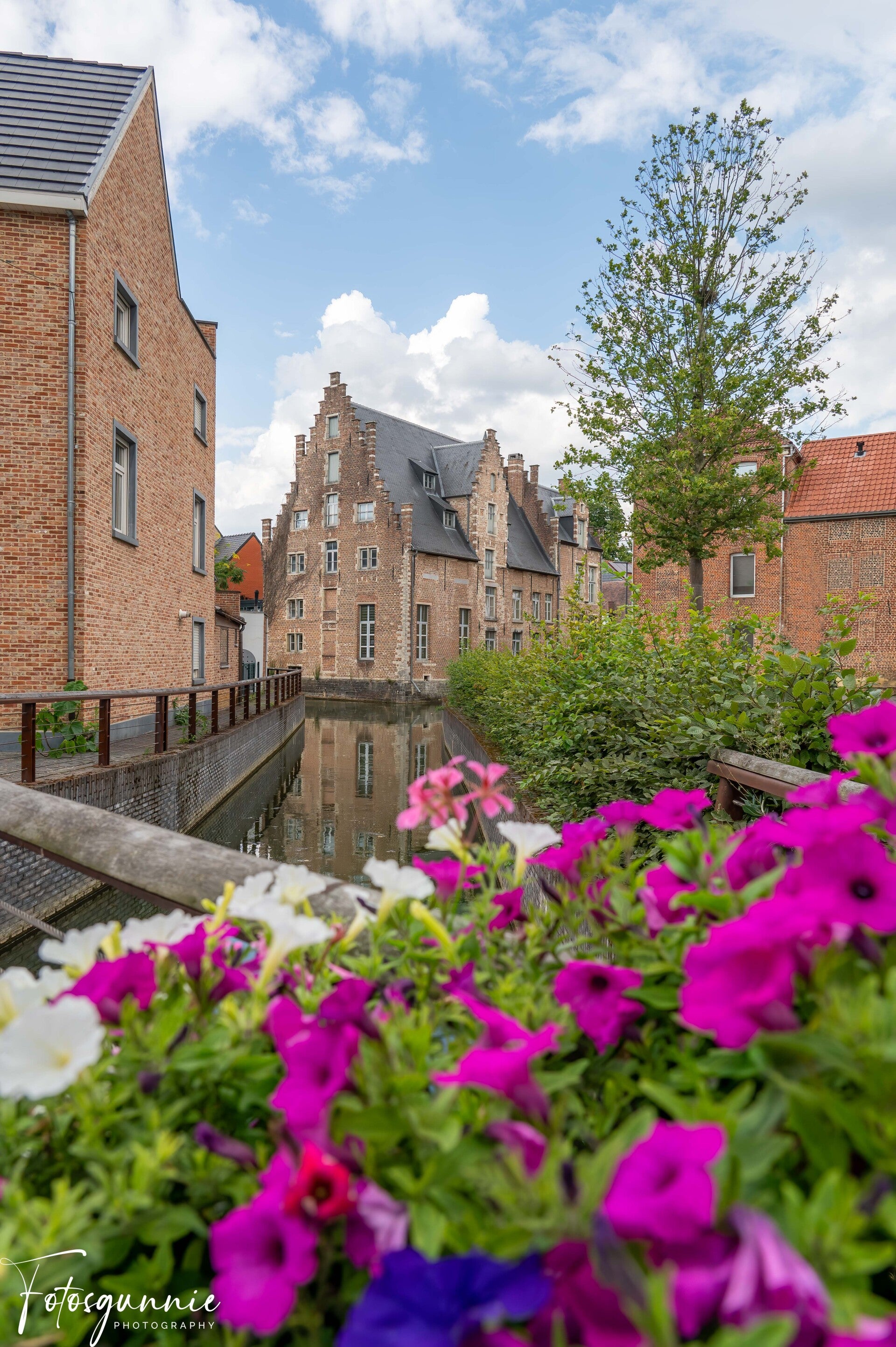 Stadswandeling Diest met gids Laury 07-2023 / Fotoseries 2023 / Foto ... Stadswandeling Diest met gids Laury 07-2023 / Fotoseries 2023 / Foto ...