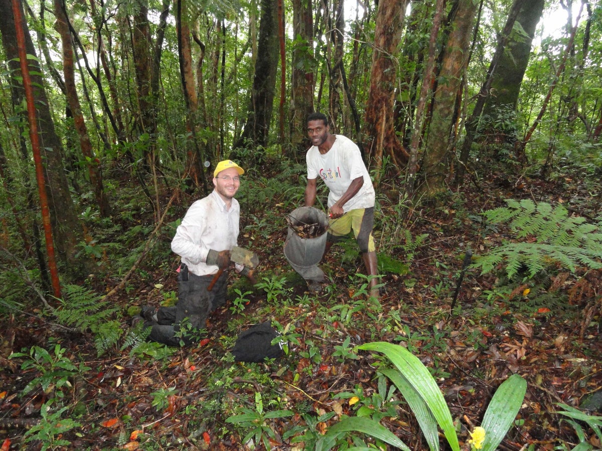 Research | Rabeling Lab