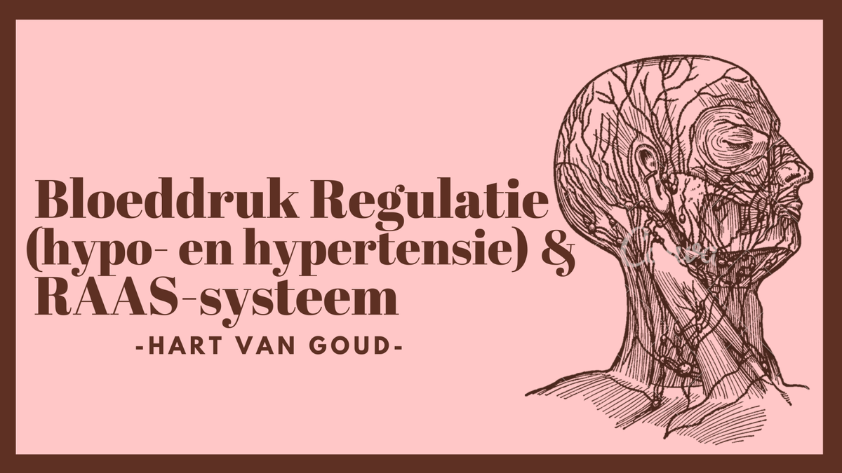 De nieren: de anatomie en uitleg over de urinewegstelsel | Hart van Goud