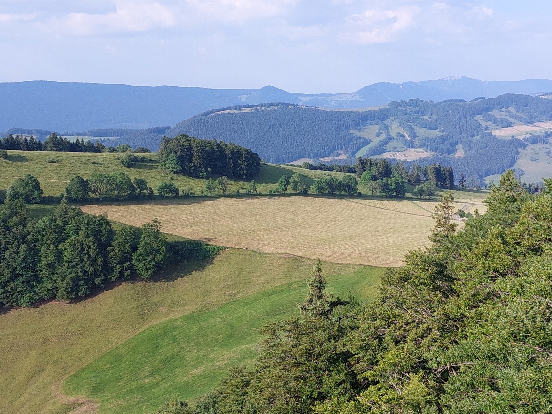 Fotos | Chrigi's Hoflädeli