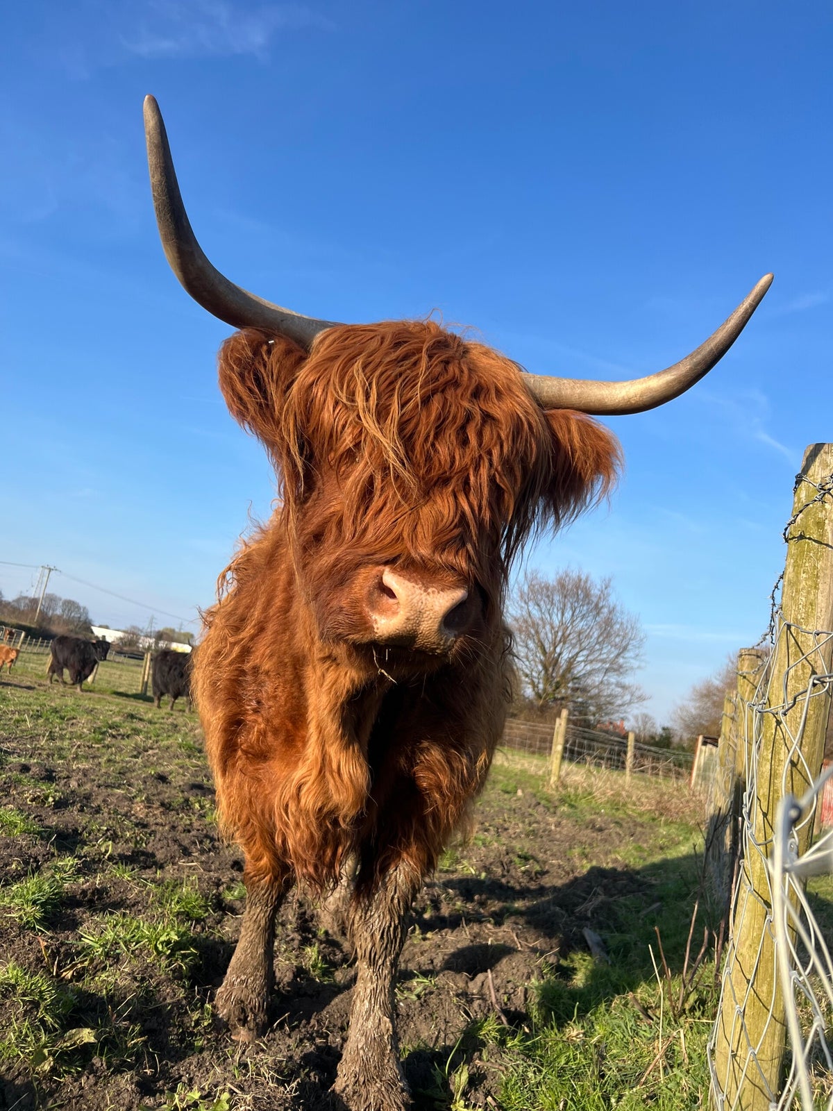 Animal encounters / Experiences | Greenacres Animal Park