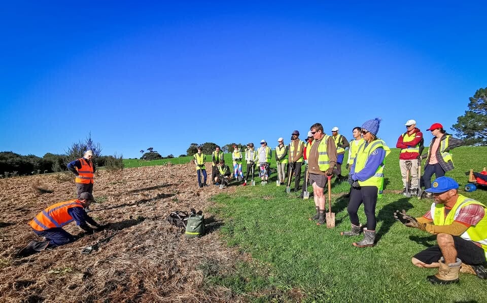 Sustainable Paremoremo