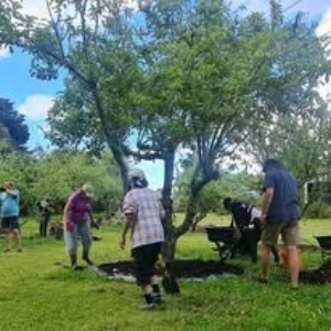 Our Projects & Collaborations | Sustainable Paremoremo