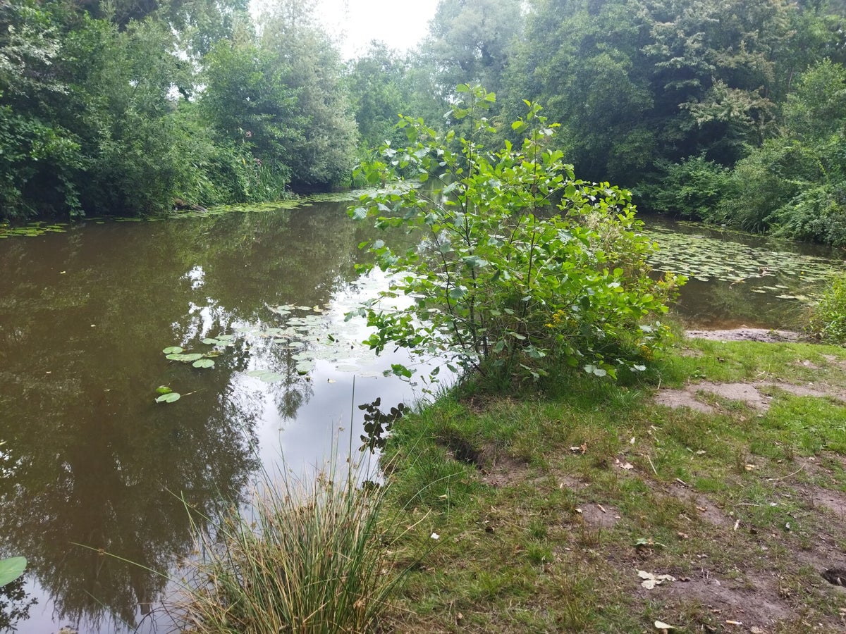 De Dommel | waterineindhoven