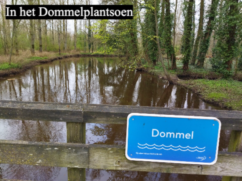 De Dommel | waterineindhoven