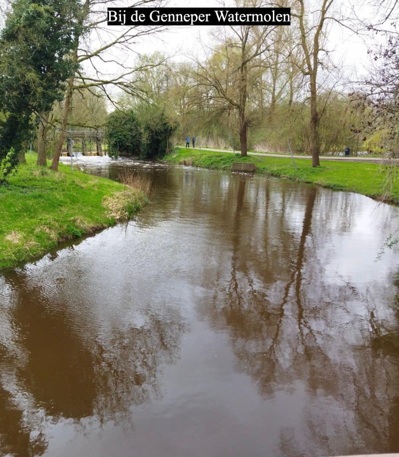 De Dommel | waterineindhoven