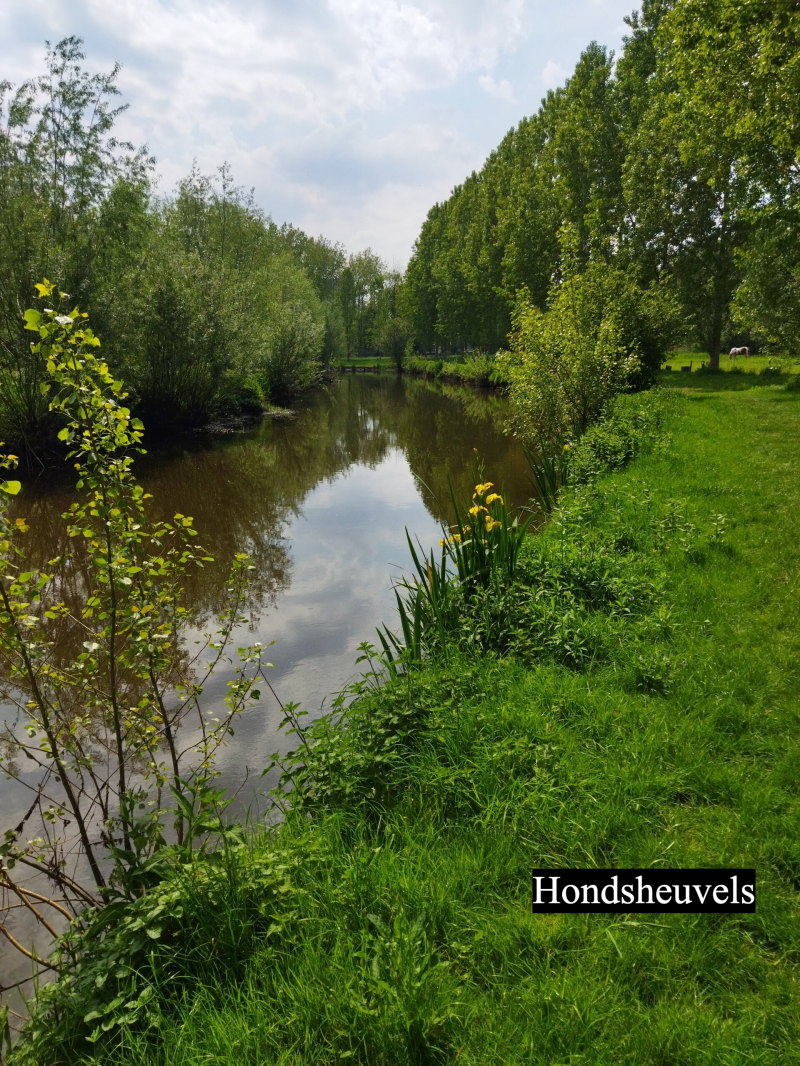 De Dommel | waterineindhoven