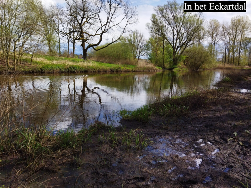 De Dommel | waterineindhoven