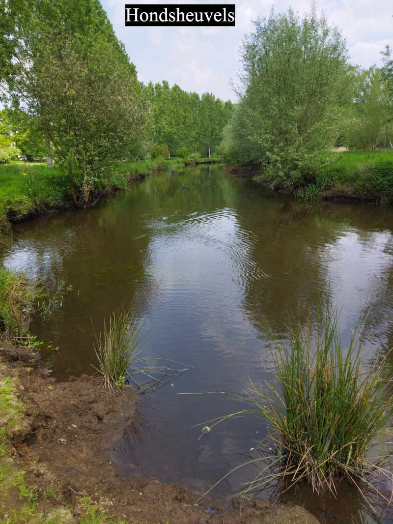 De Dommel | waterineindhoven
