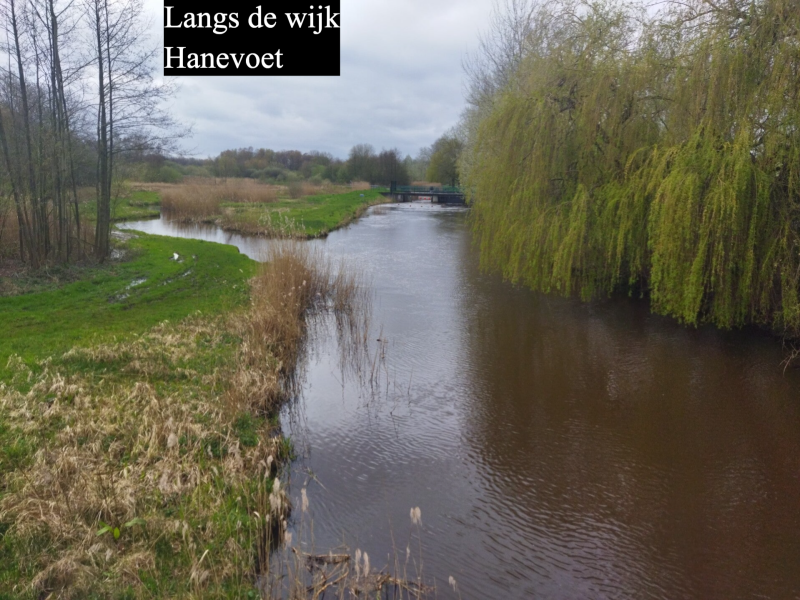 De Dommel | waterineindhoven