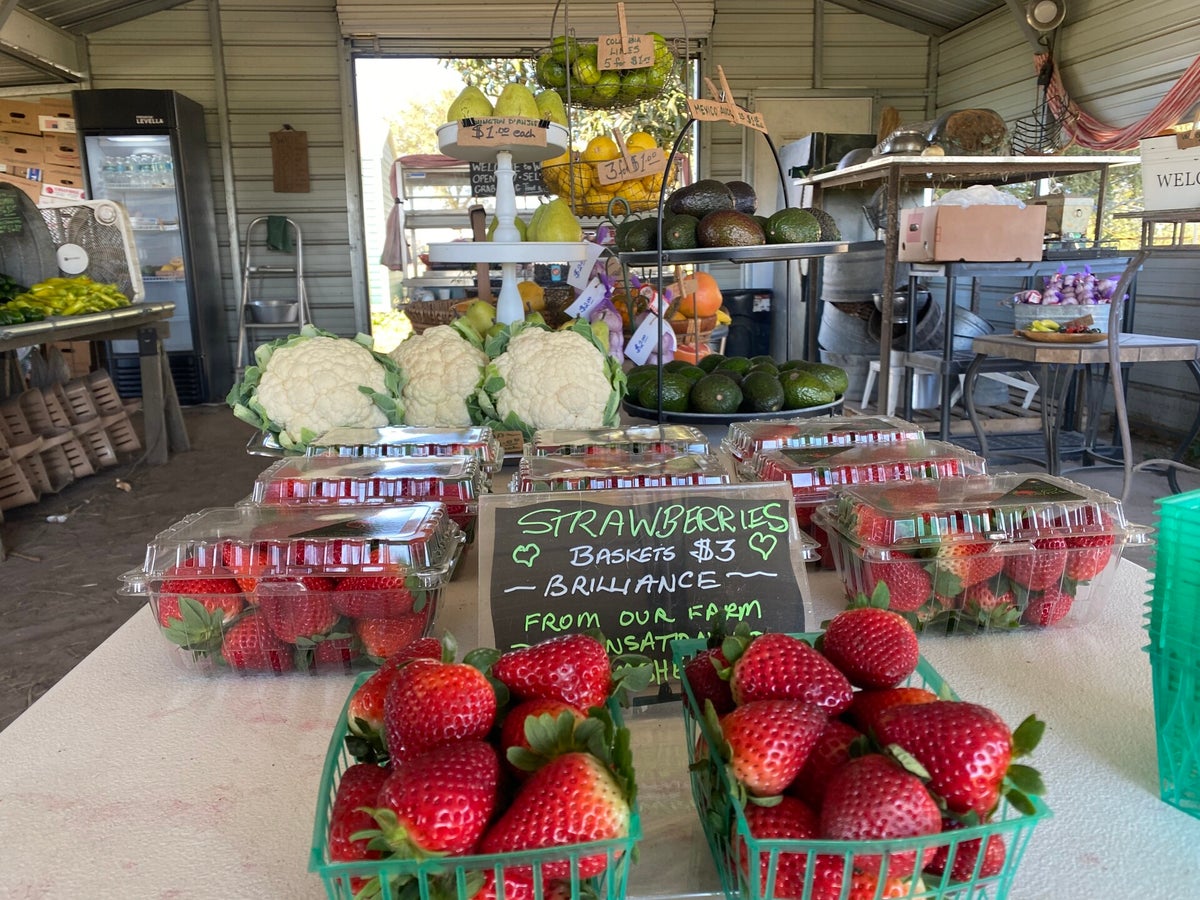 See Inside | Walt's Farm Stand