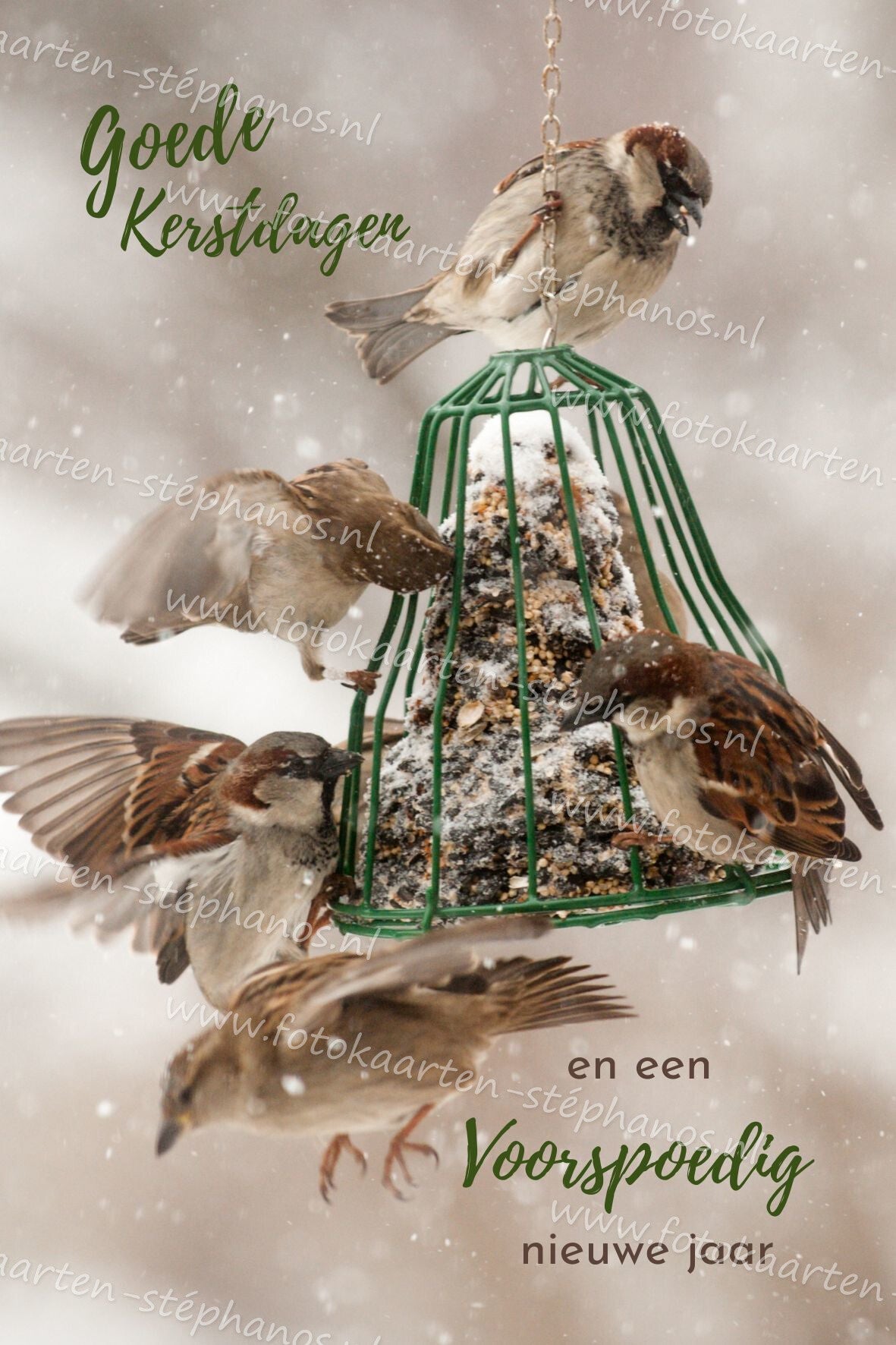 Kerst & Winter - Goede Kerstdagen 25 | Fotokaarten-stephanos.nl