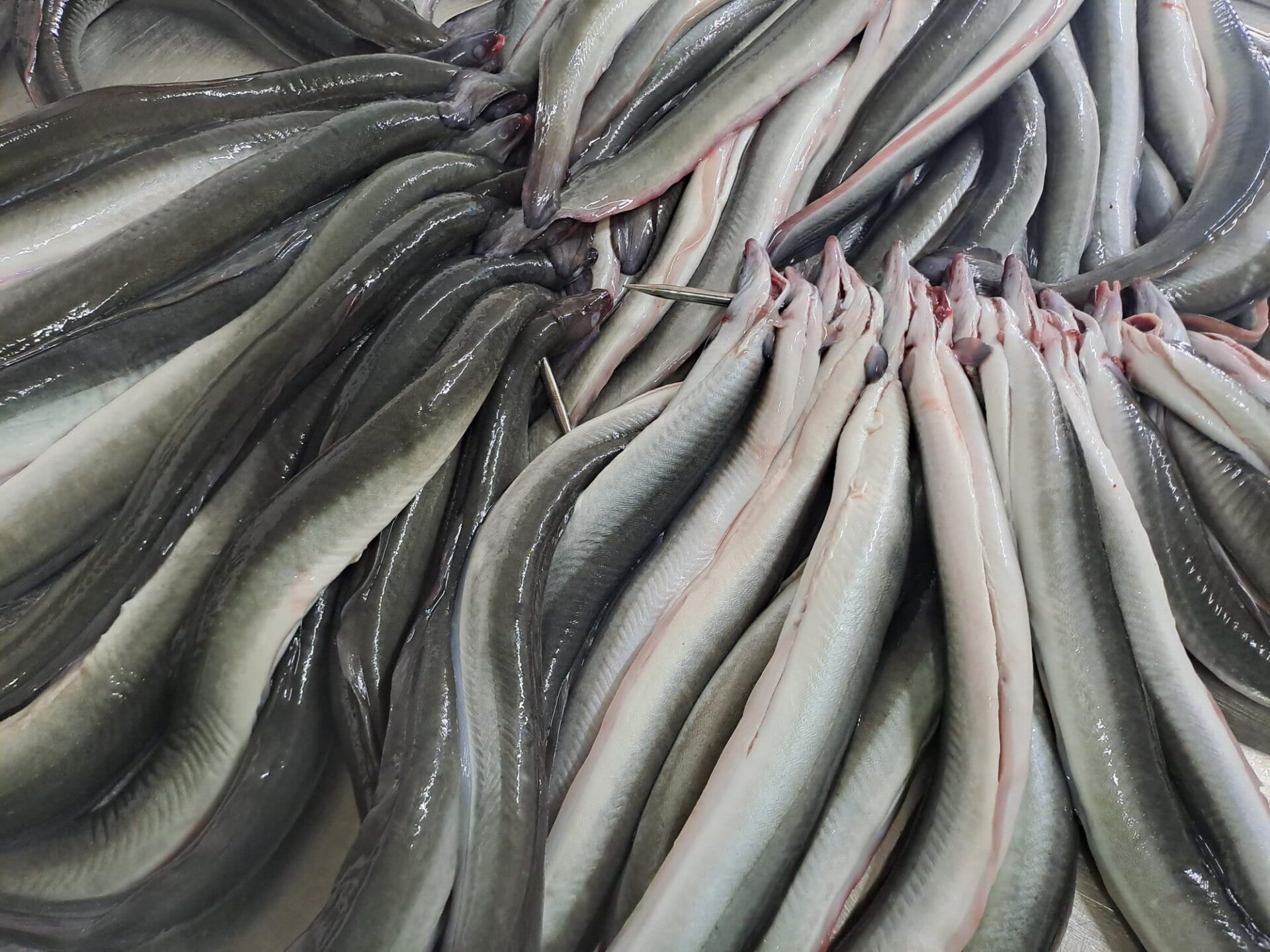 Palingrokerij | Palingrokerij en vishandel de Groot